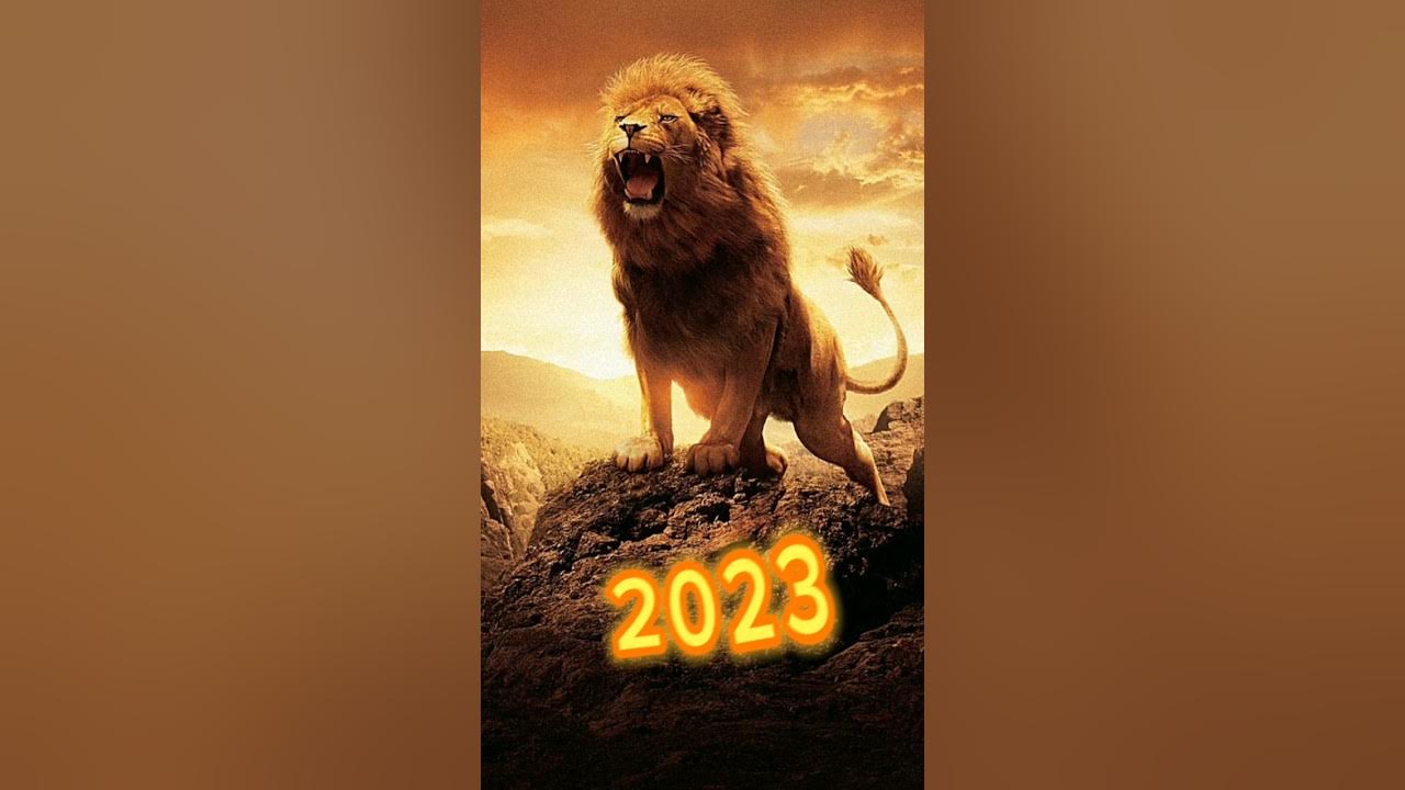 2023 lion🦁 vs 5000 bce lion🦁 #viral #goingviral #shorts #shortvideos # ...