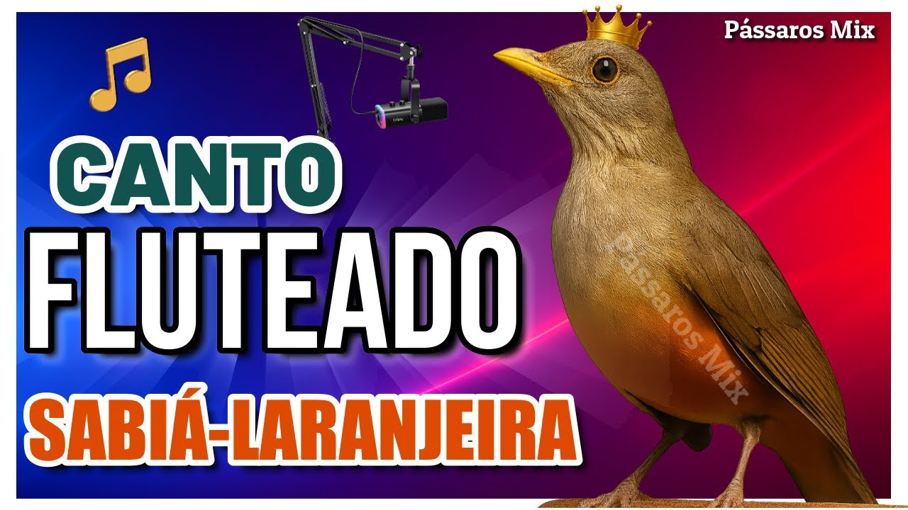 🎵 O Canto Flauteado do Sabiá Laranjeira – A Melodia Mais Encantadora da ...