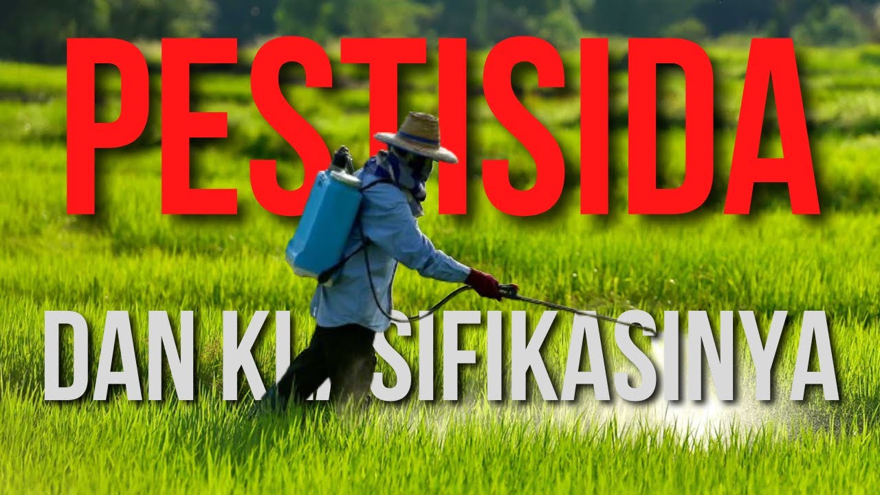 Pestisida: Pengertian, Klasifikasi, dan Cara Kerja - YouTube