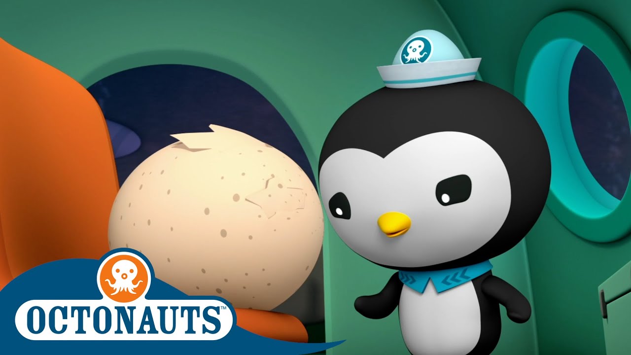 Octonauts - The Mysterious Egg | Cartoons for Kids - YouTube
