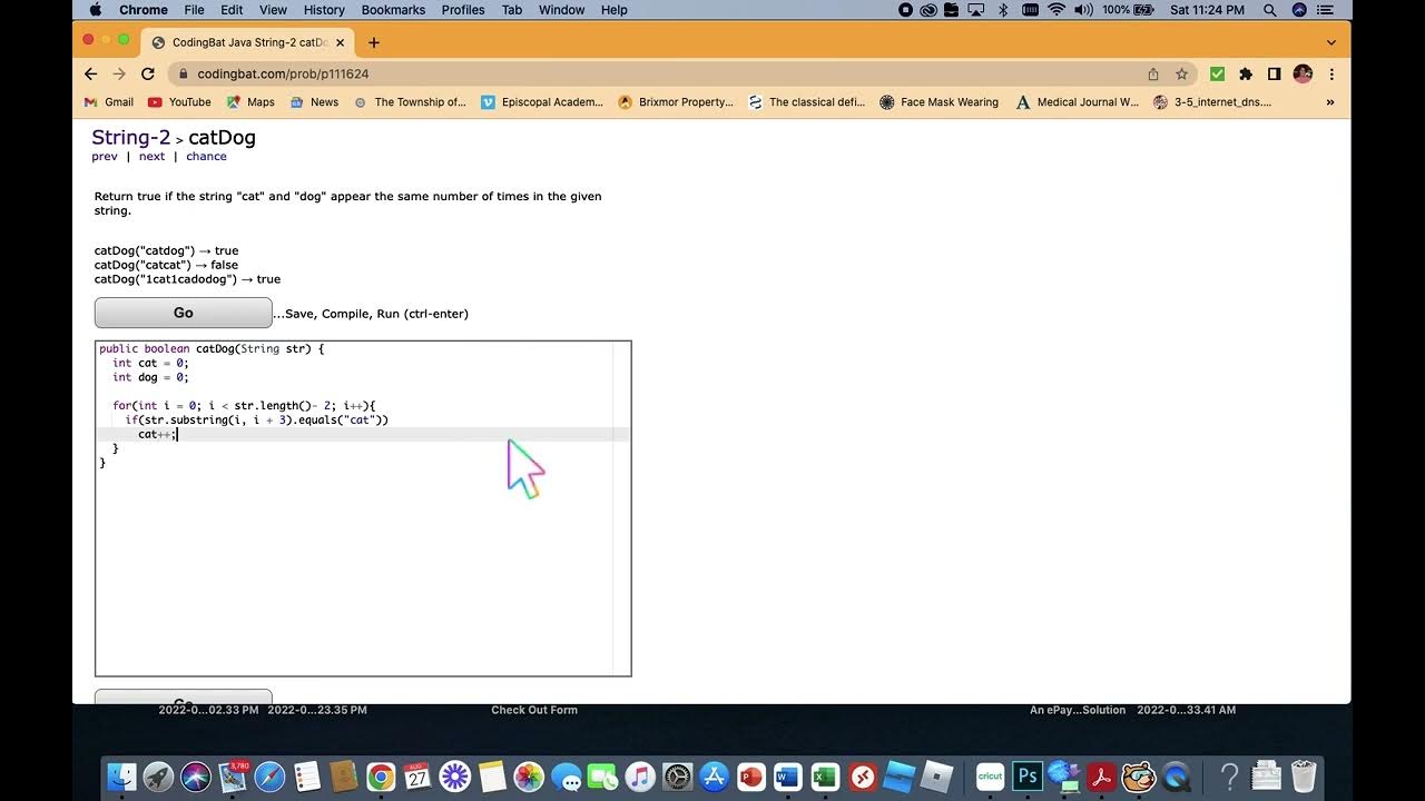String 2 catDog - YouTube