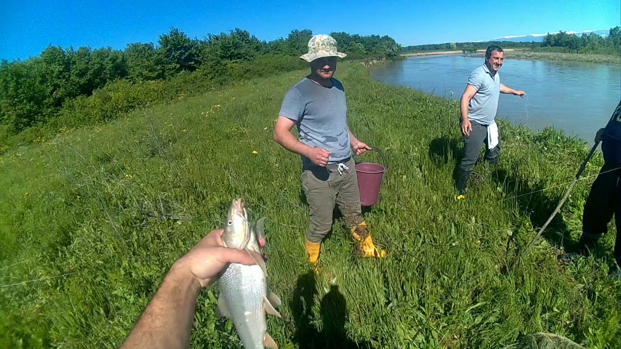 tevzaoba alazanze 1rveli gaseirneba - YouTube