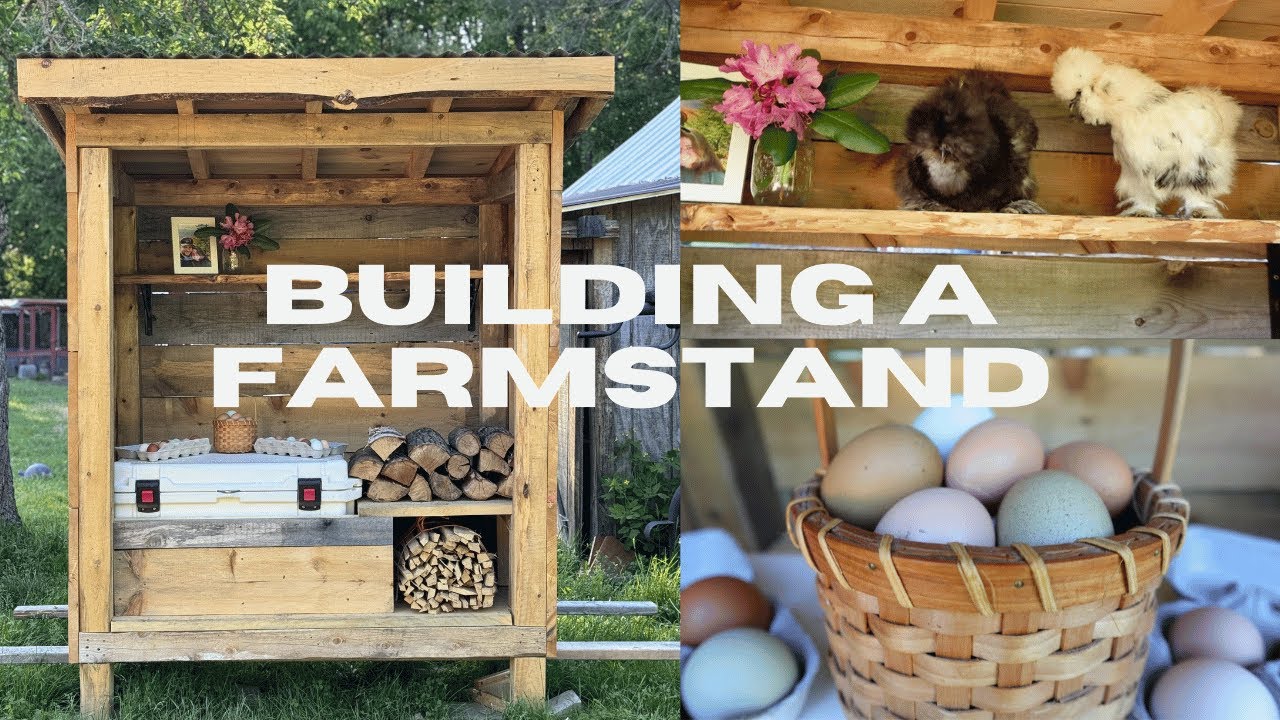 Building a Farm Stand for Firewood and Farm Fresh Eggs - DIY - YouTube