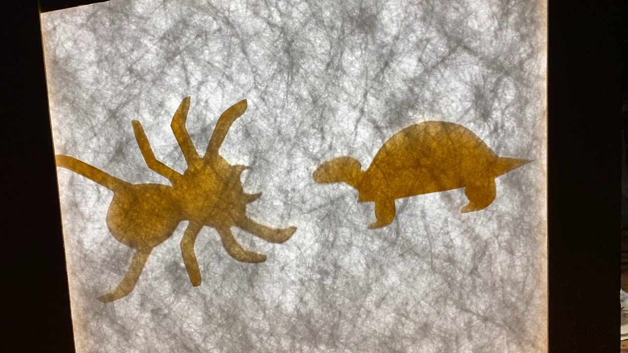 Spider and Turtle - a Silent Shadow Puppet Show - YouTube