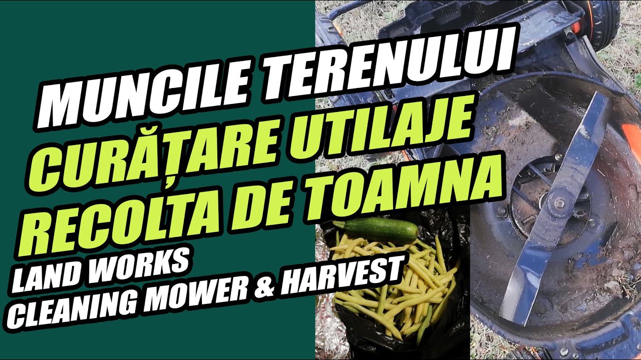 Mini recolta 🥗 de toamna 🍂 si curatare utilaje (Mini autumn harvest and ...