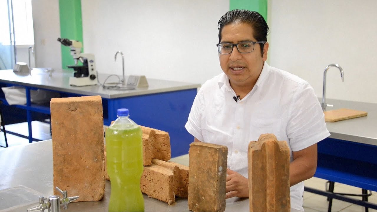 Mexican engineer turns cacti into sustainable bricks - YouTube