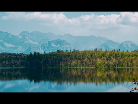 Netta Viewpoint | Tourism Kerala | Thiruvananthapuram - YouTube