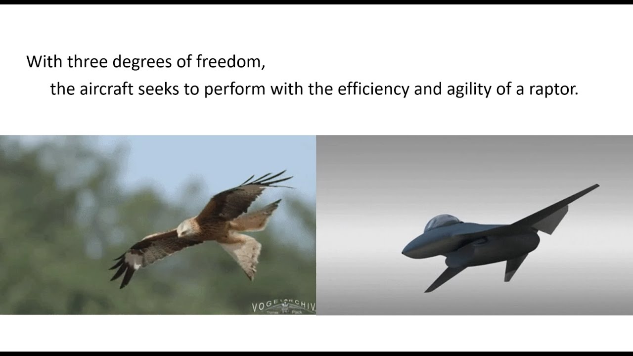 Bio-Inspired Rotating Empennage | DIMLab - YouTube