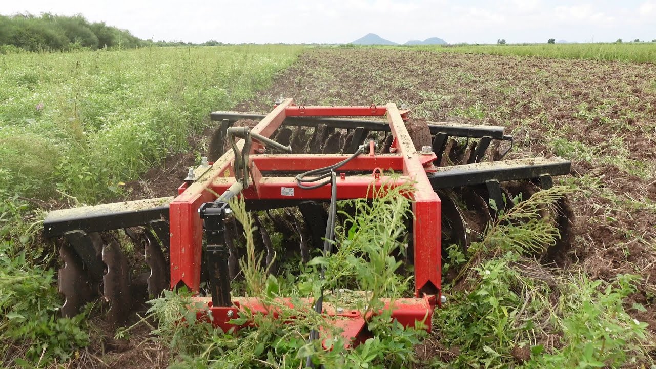Rastreando en terreno humedo. con tractor Massey Ferguson 2695 y rastra ...