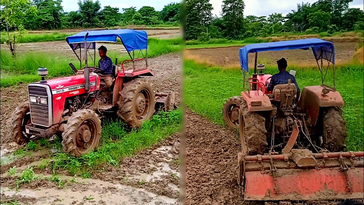 Massey Ferguson 241 4wd💪 deep puddling👀 paddy field 🌾 - YouTube