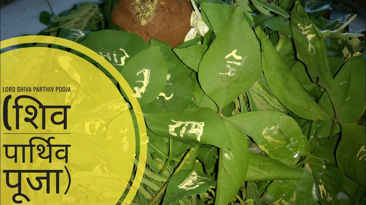 Lord Shiva Parthiv Pooja ( शिव पार्थिव पूजा ) - YouTube