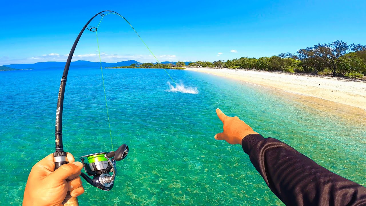 One of The FASTEST Fish I've Ever Seen... - YouTube