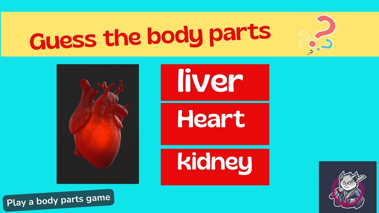 Guess the name of body parts quiz | human organs | General knowledge ...