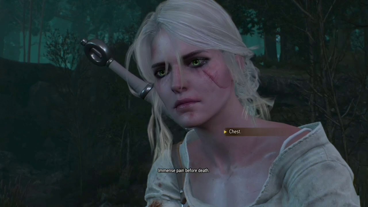 The Witcher 3: Wild Hunt Cutscenes Part 5 - YouTube