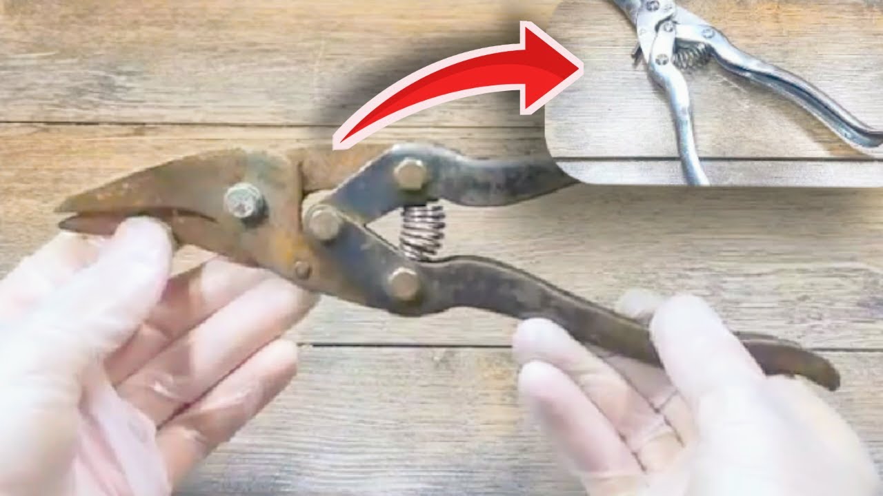 Restoring Vintage Hand Tools on a pair of cutters: A Beginner's Guide ...