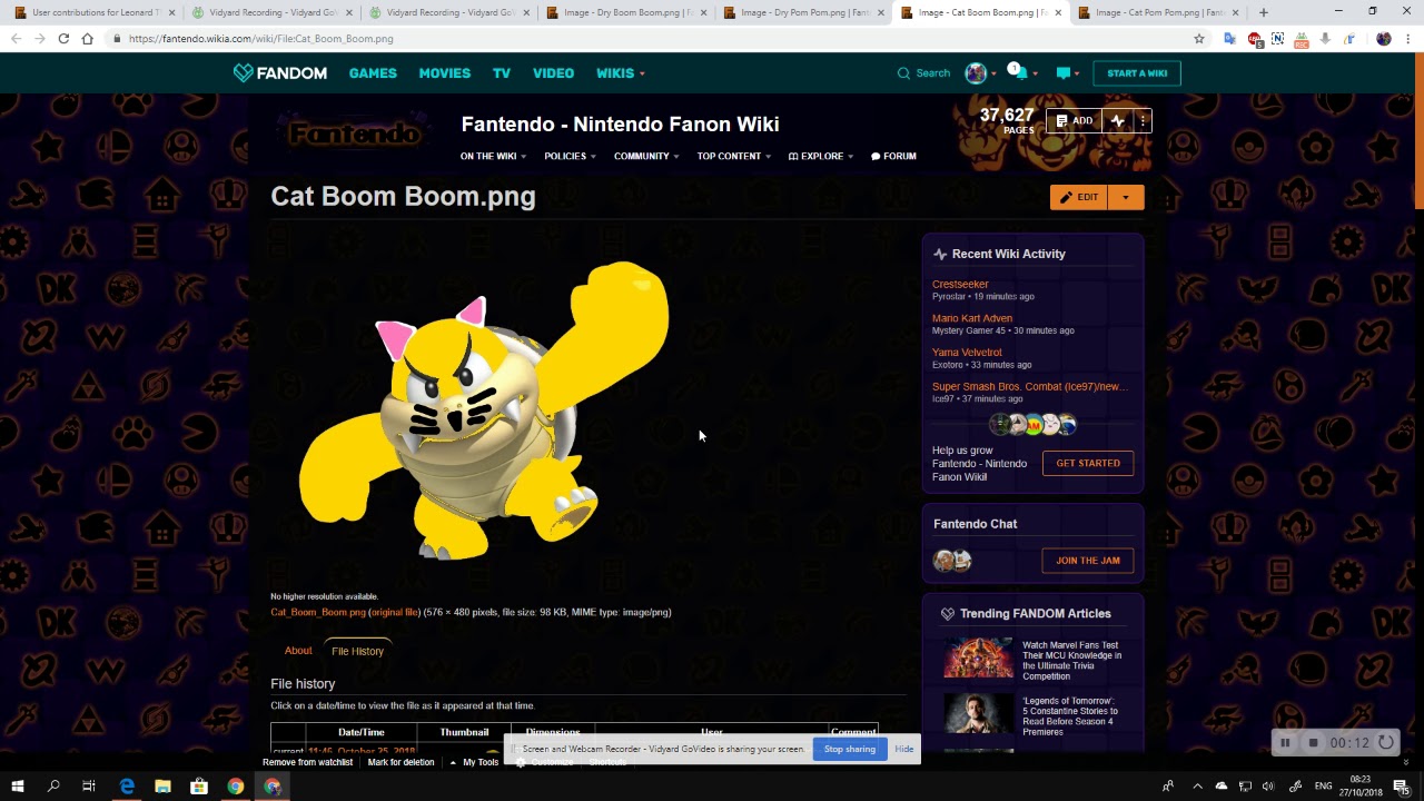 I Made Dry Boom Boom and Pom Pom, and Cat Boom Boom and Pom Pom - YouTube