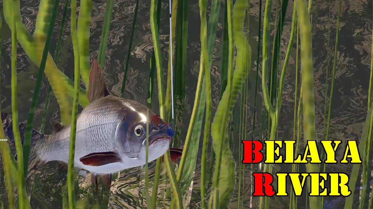 Russian Fishing 4 new config Belaya River Grayling Brown trout rf4 spot ...