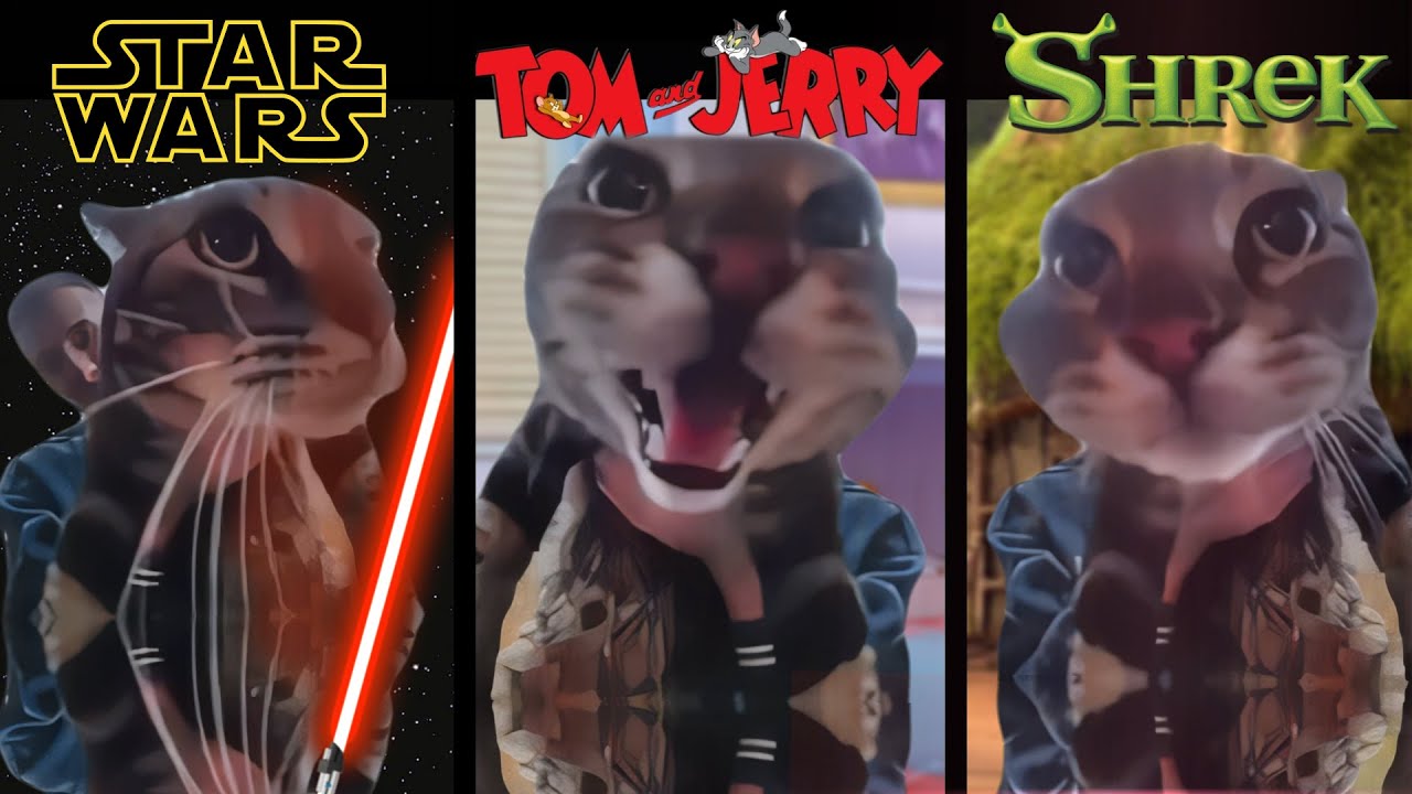 Cat Meows into door camera meme but in different universes - YouTube