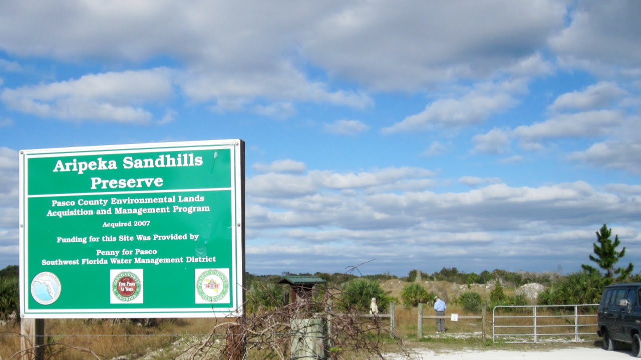 Aripeka Sandhills Preserve, Pasco County, Florida - YouTube