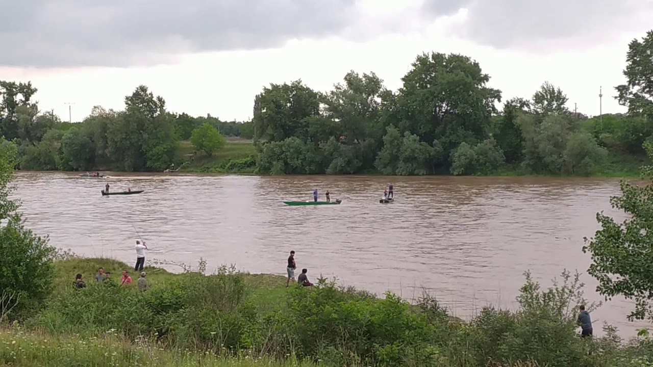 Braconaj în plină zi, cu bărcile pe Mureş - YouTube