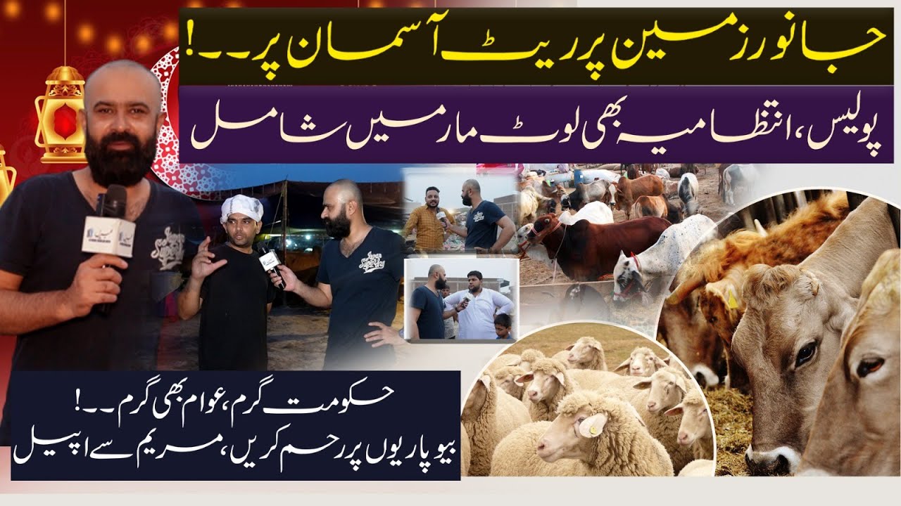 Private Cattle Markets Exploit Farmers | Prices Double | Police Mafia ...
