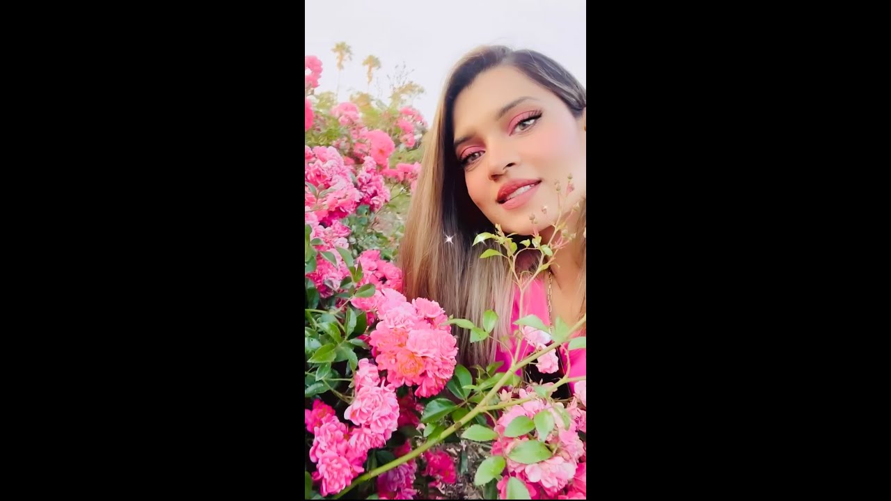 Heritage Roses Nancy Steen Gardens in Auckland, New Zealand - YouTube