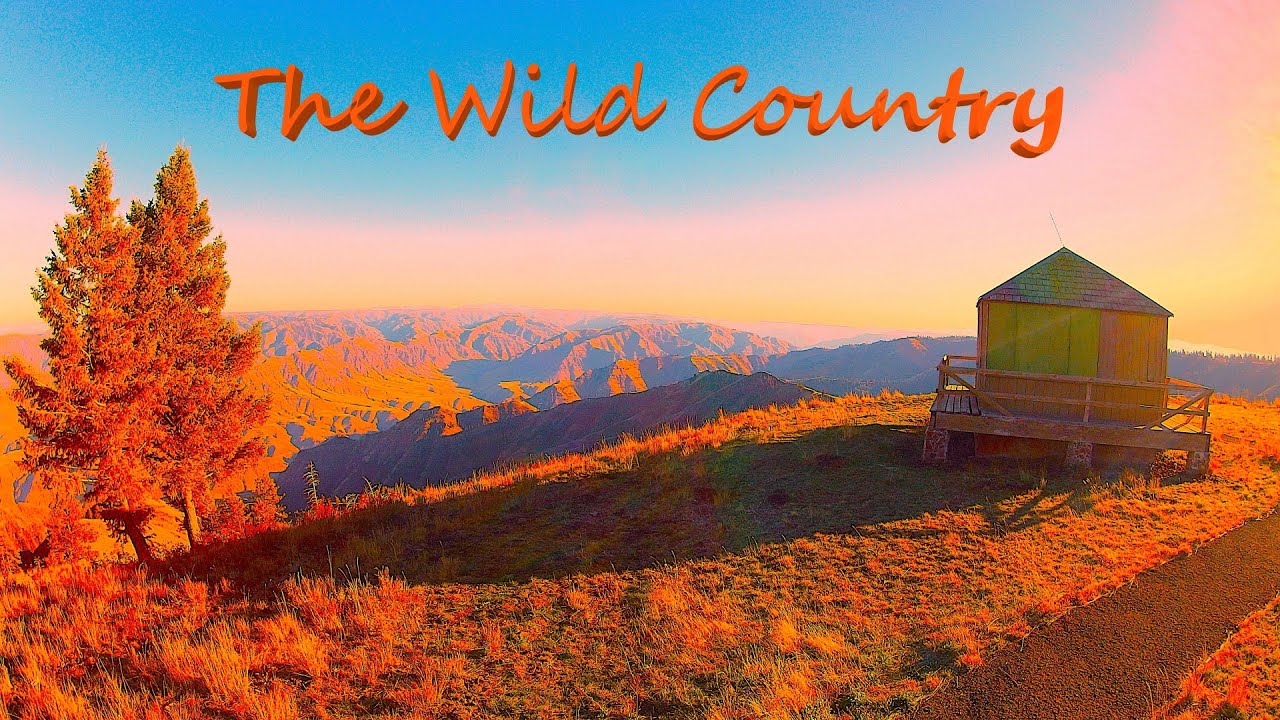 The Wild Country - YouTube