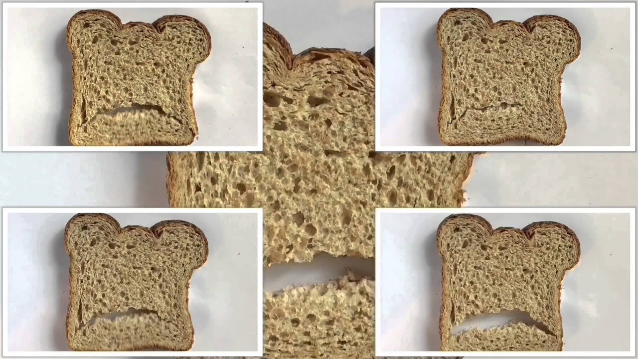 Bread Sheeran - Give Me Love - YouTube