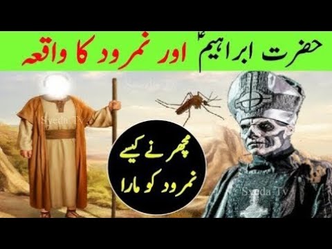 How a mosquito killed Nimrod / Islamic History - YouTube