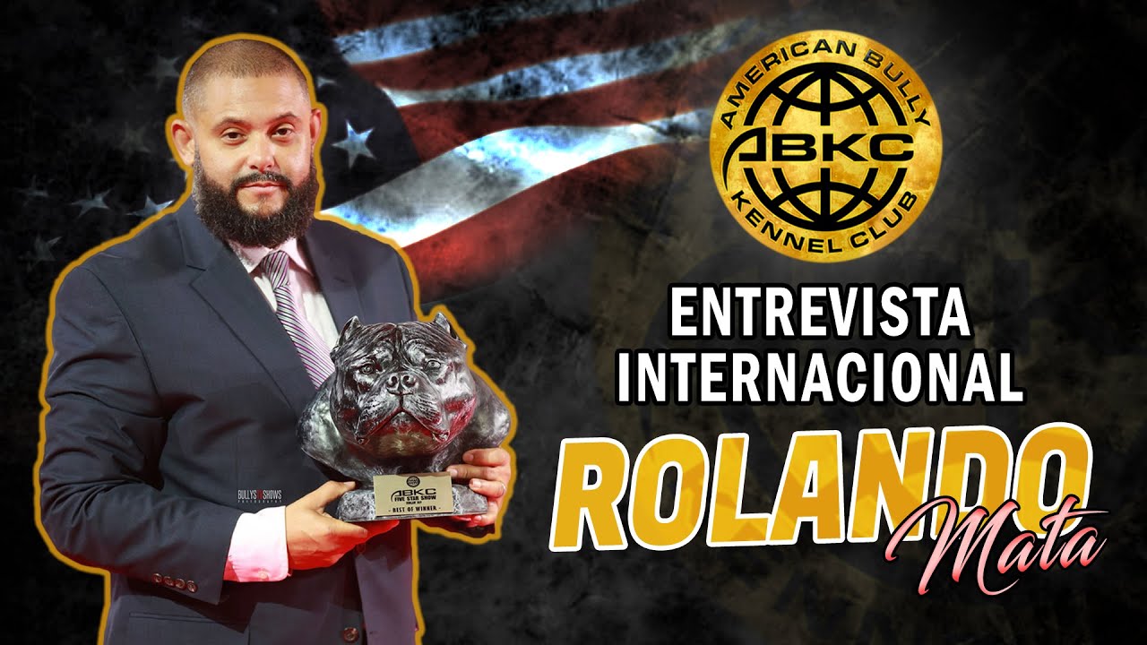 ¿Qué juzga un juez ABKC?/ Rolando Mata Director de Jueces - YouTube