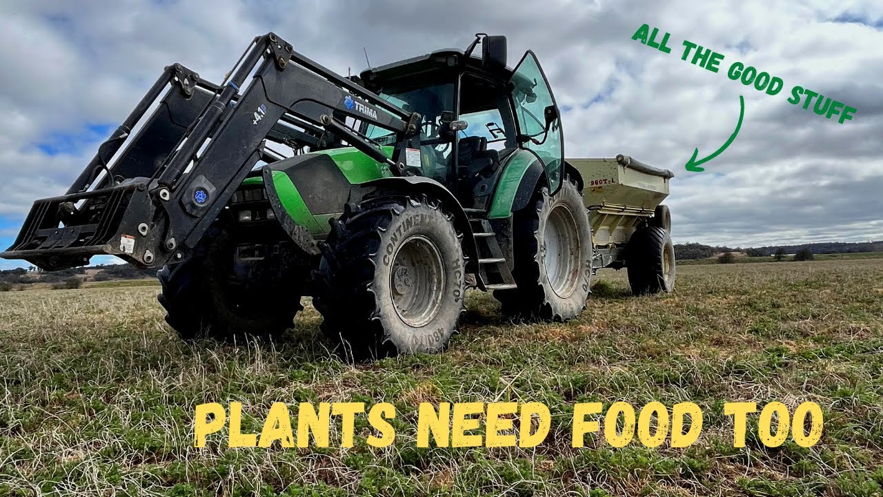 THE PLANTS ARE HUNGRY! | Spreading Fertiliser On Lucerne and Pasture ...
