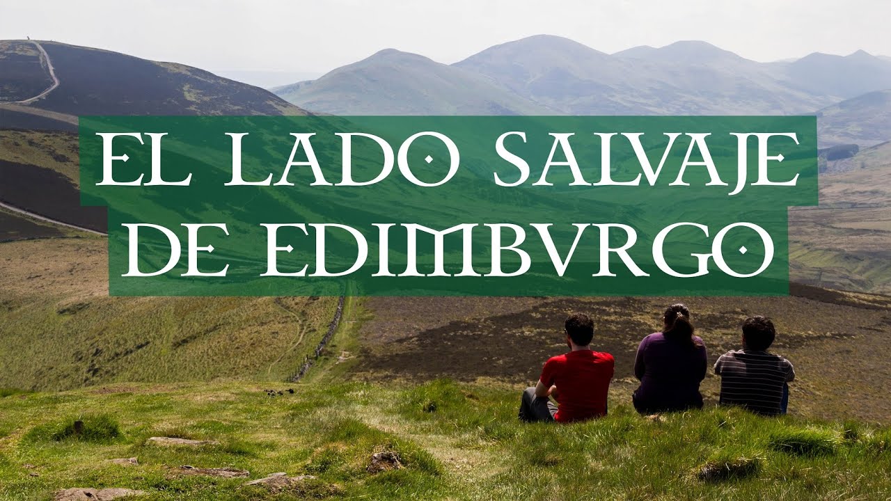 Pentland Hills y vacas peludas. Guía de Edimburgo #8 | ESCOCIA | Entre ...