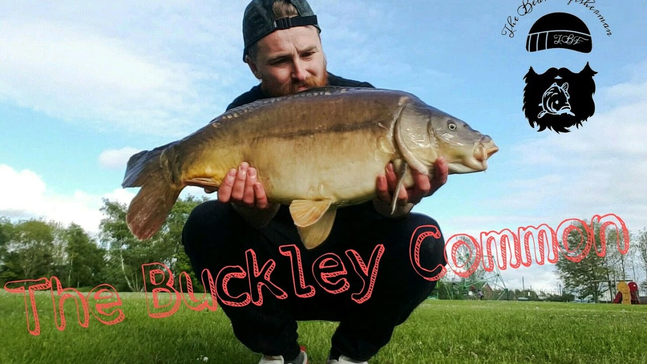 Buckley Common first visit - YouTube