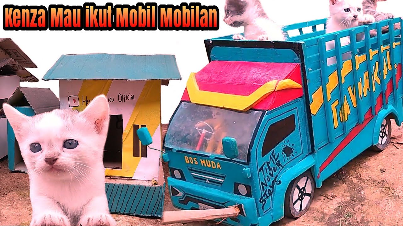 Anak kucing si manis dan kucing jalanan naik mobil mobilan | cute ...