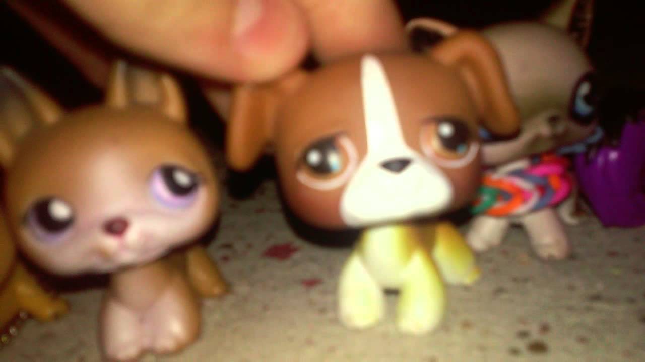 First lps video - YouTube