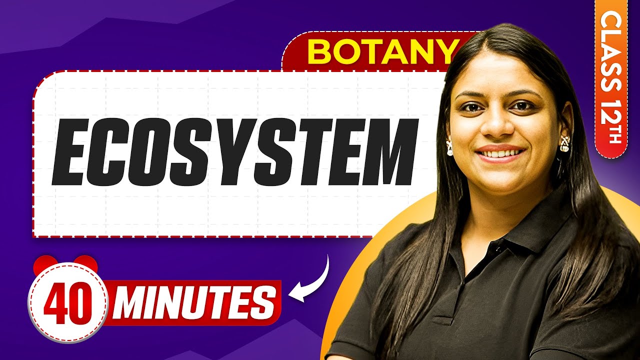 Ecosystem in 40 Minutes | Class 12th Botany | Mind Map Series - YouTube