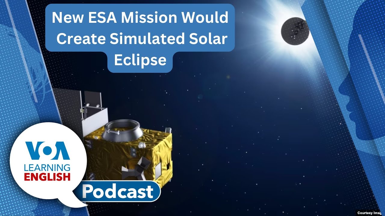 Willow quantum processor, Words of the year, Pet Cemetery, Future ...