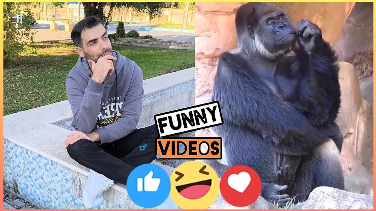 Crazy Funny Animal Pranks! 😂🐶 | Try Not to Laugh Challenge 2025 - YouTube