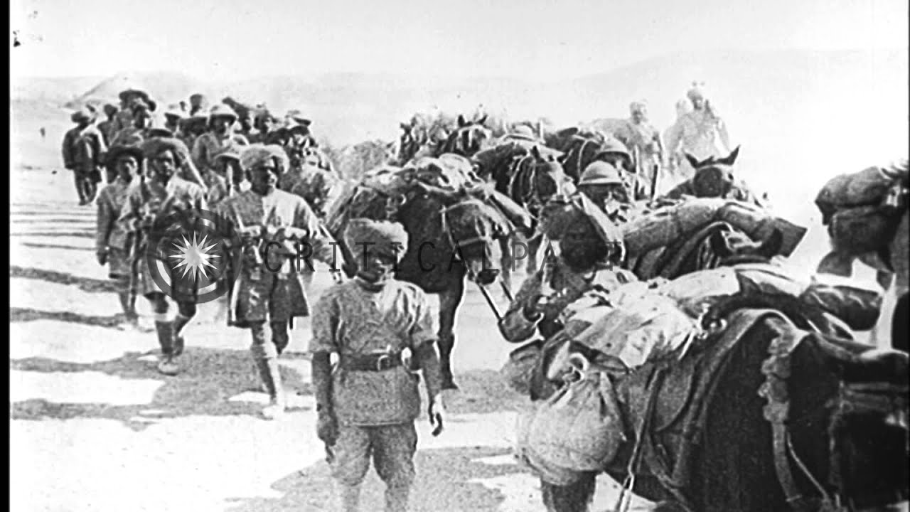 Forces under British General Edmund Allenby in Palestine. British ...