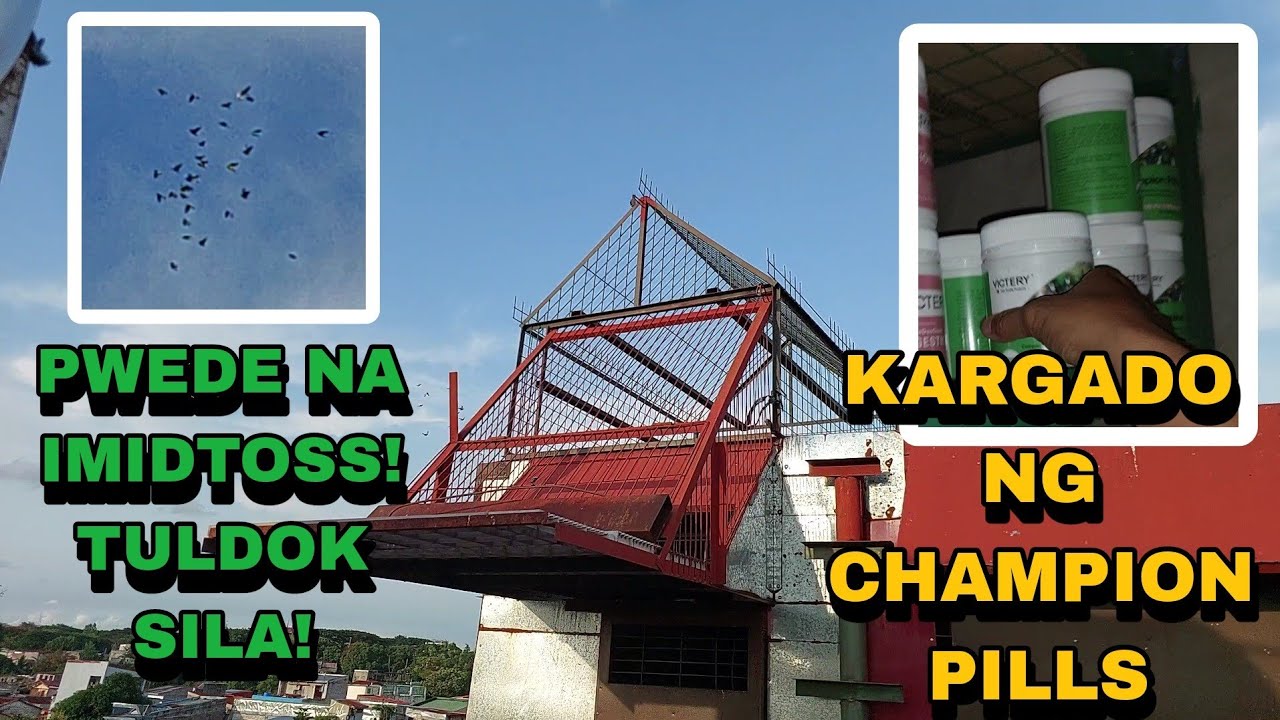 CHAMPION PILLS MUNA SILA! PAMPATAAS NG RONDA! TAPOS.IMIDTOSS NATIN NG ...