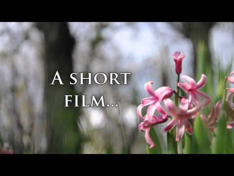 Flowers Short Film Intro