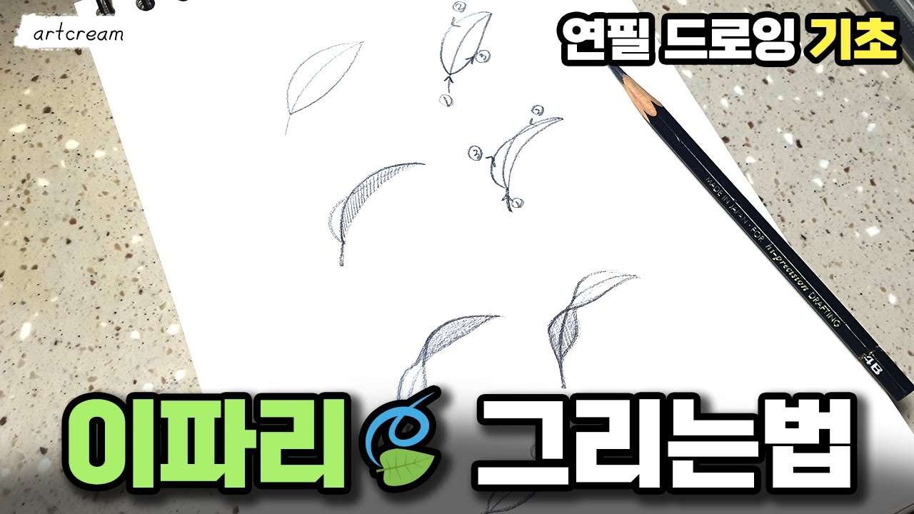 나뭇잎이파리 쉽게 그리는 3가지 방법🎨 연필드로잉기초 Pencil Drawing 3 Easy Ways To Draw Leaves 이파리그리는방법 나뭇잎