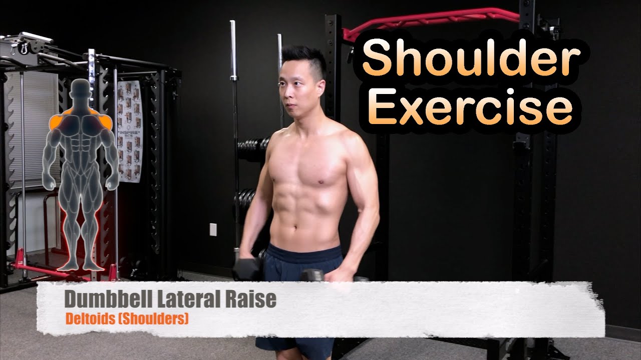 Shoulder Exercise - Dumbbell Lateral Raise - Exercise Library - YouTube