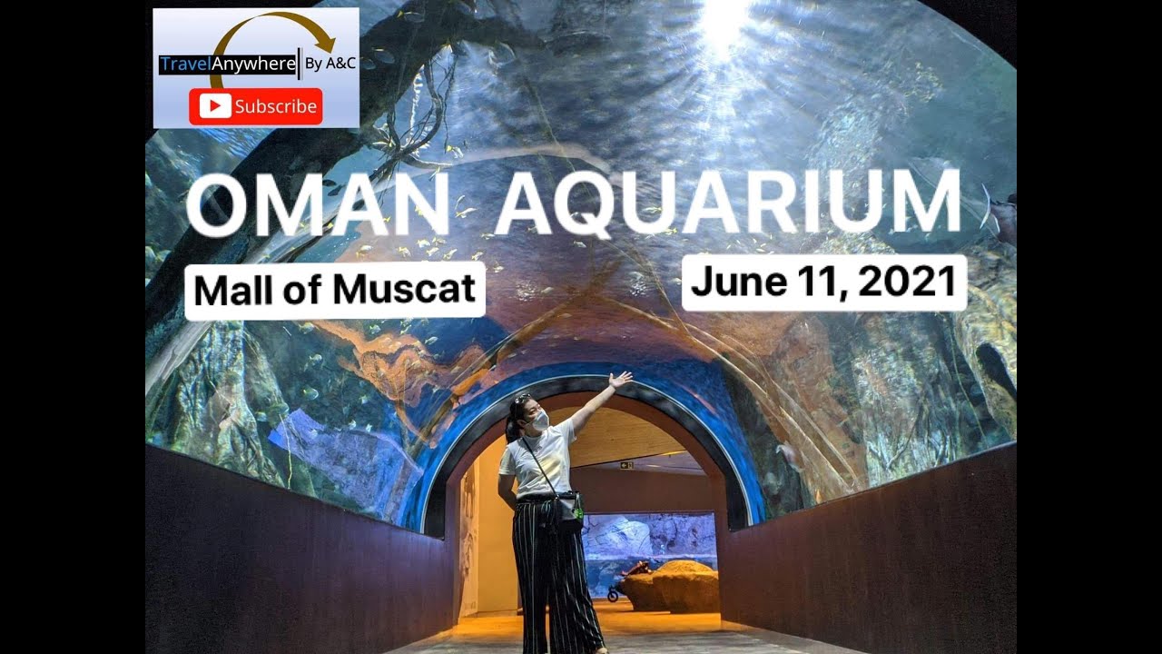 OMAN AQUARIUM | MUSCAT MALL | SEA CREATURES | BIGGEST AQUARIUM IN THE ...