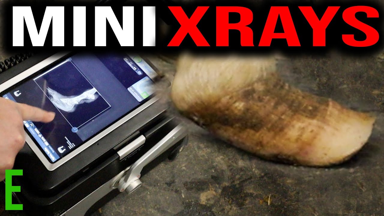 Mini Xrays - YouTube