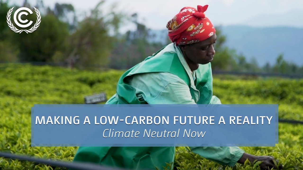 4 Businesses Making a Low-Carbon Future a Reality | Climate Neutral Now ...