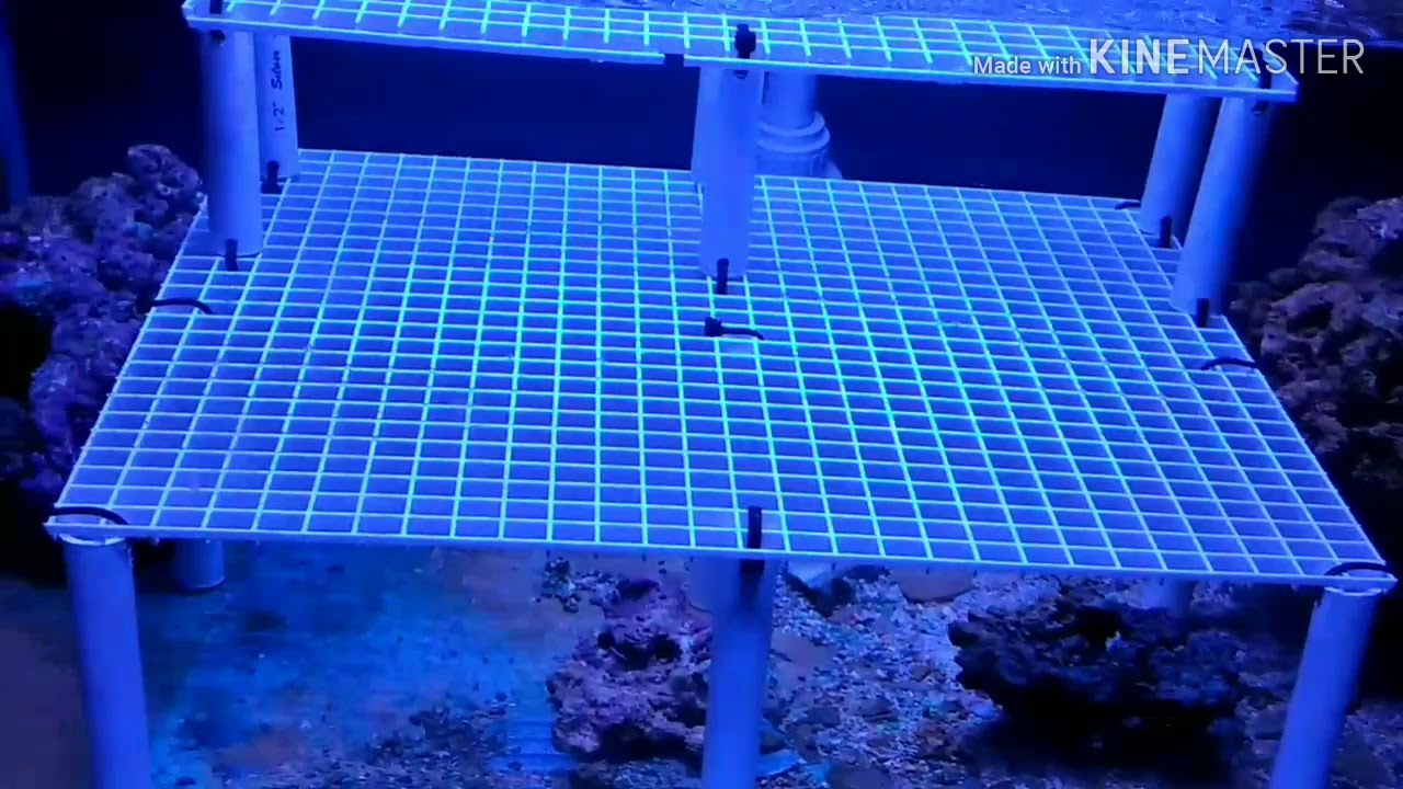 Frag rack! - YouTube