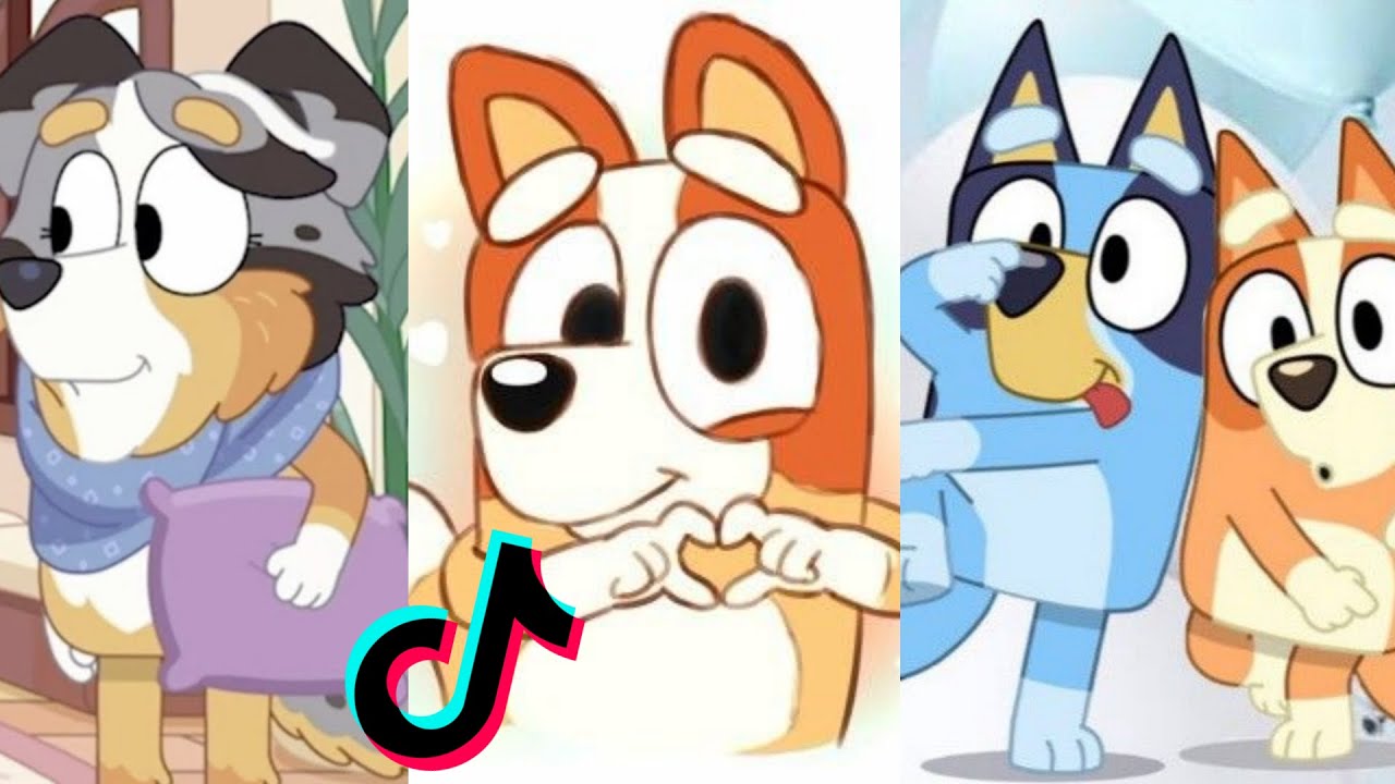 Bluey TikToks - Best Tiktok Compilation 2023 #32 - YouTube