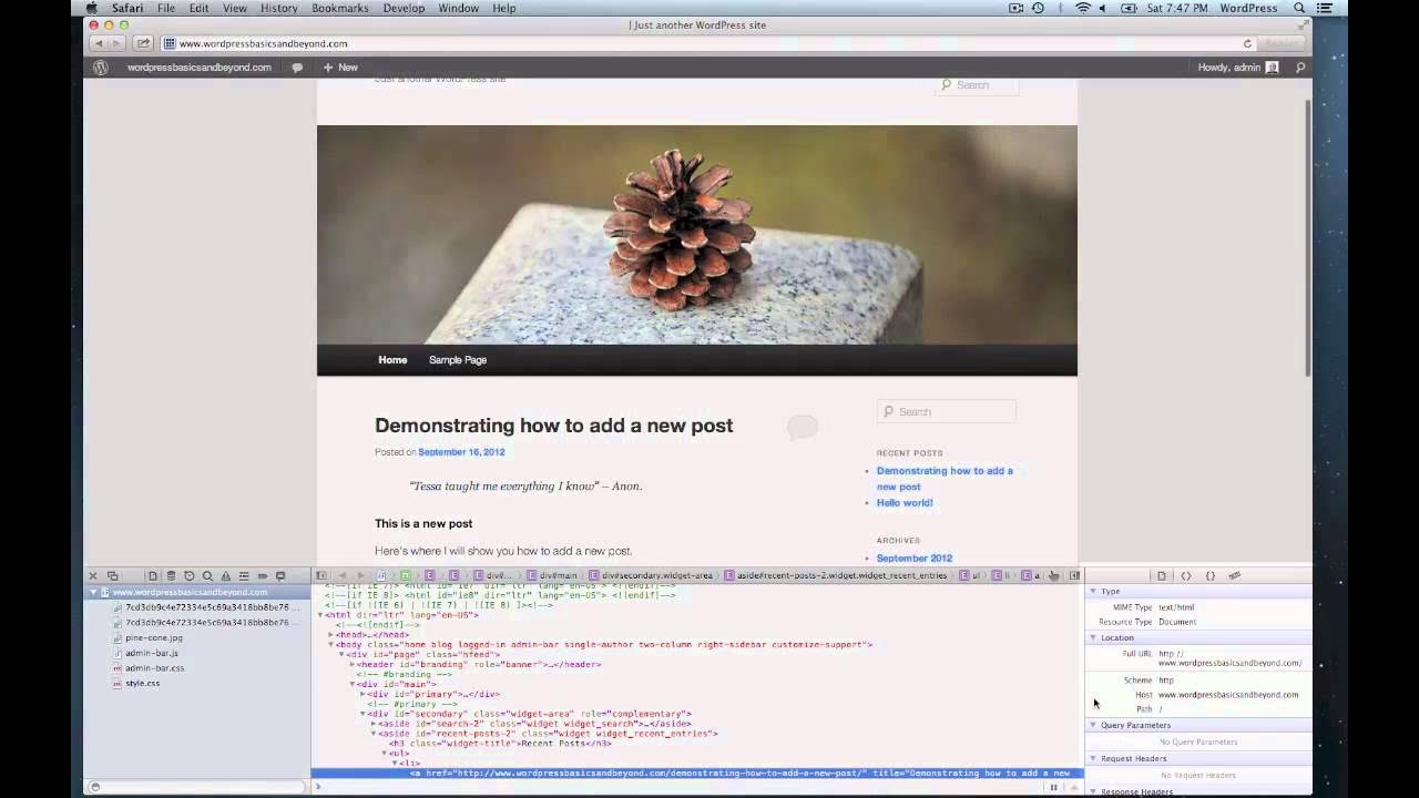 Using Inspect Element to troubleshoot your WordPress website - YouTube