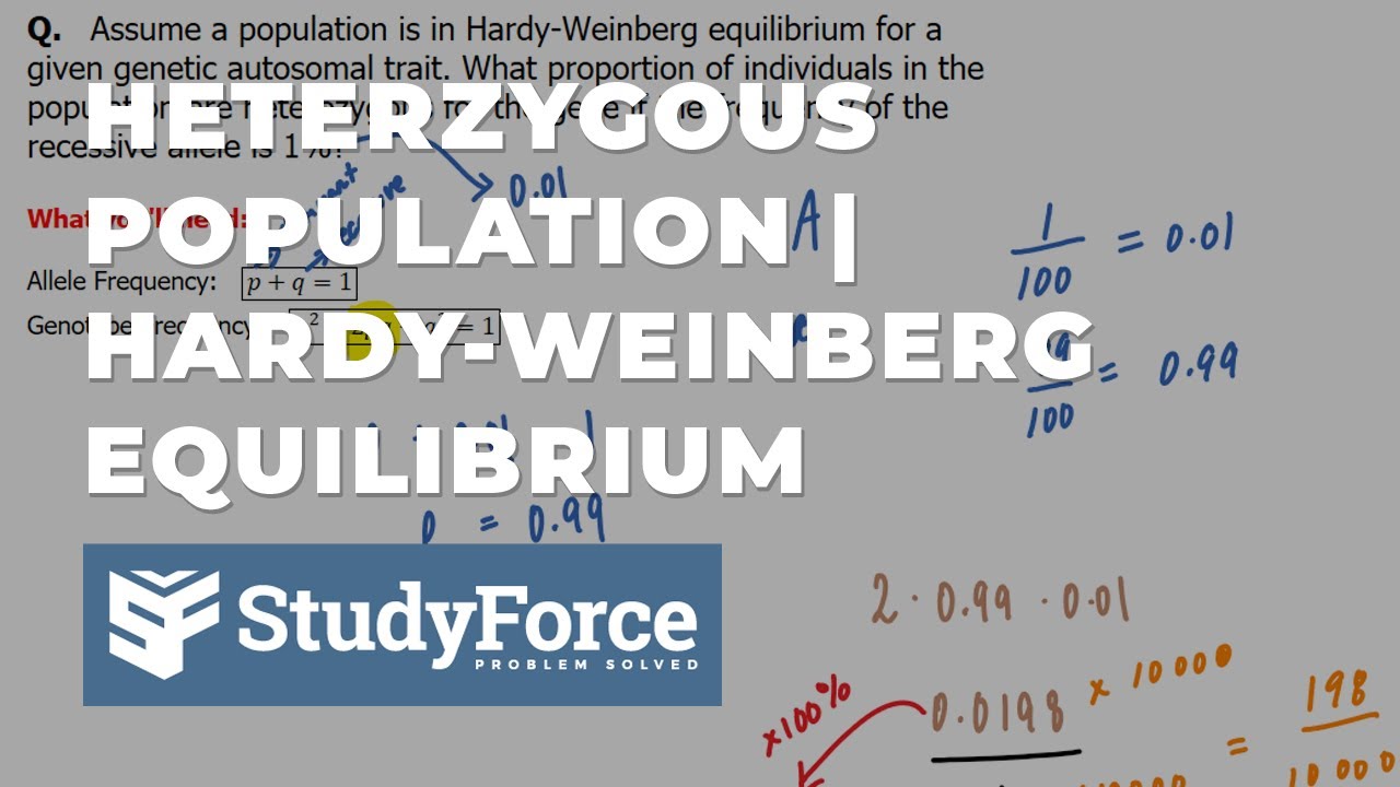 Calculate Heterozygous Population Given Recessive Allele Frequency ...